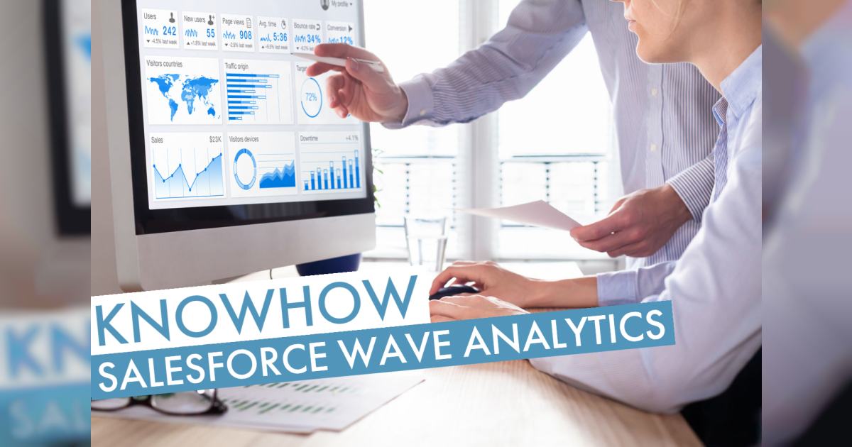 Salesforce Wave Analytics | Mindforce