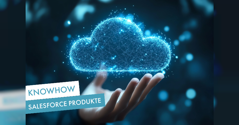 Salesforce Produkte | Mindforce