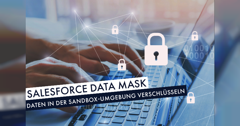 Salesforce Data Mask | Mindforce